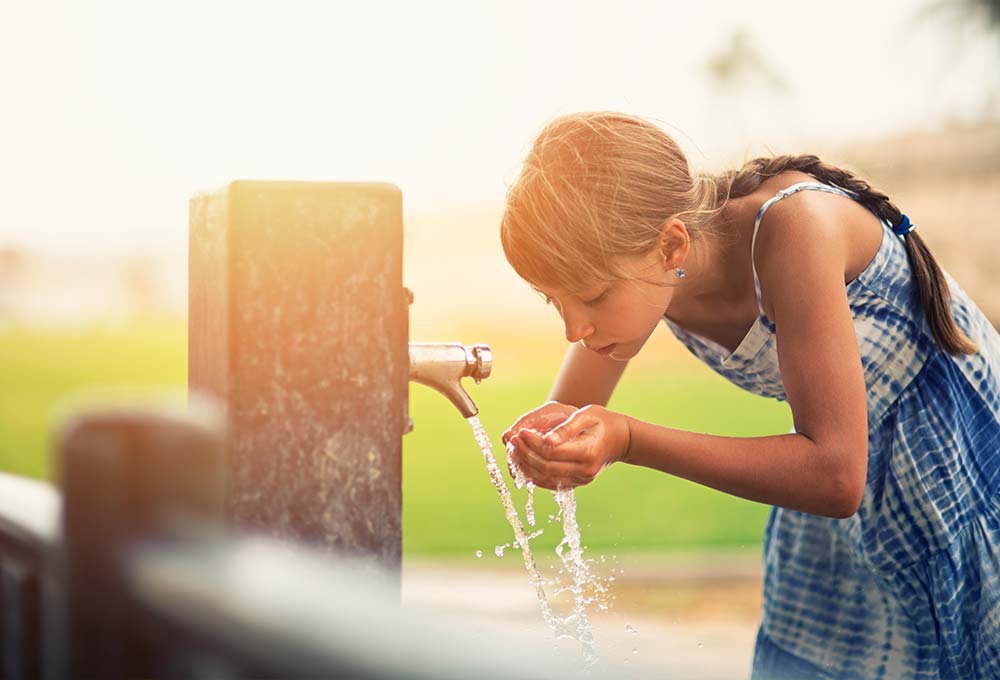 Revive Environmental | About Us - Our Mission and Vision